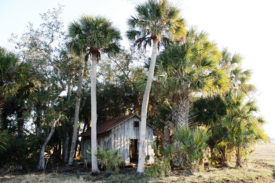 Deseret Ranches Of Florida | Legacy